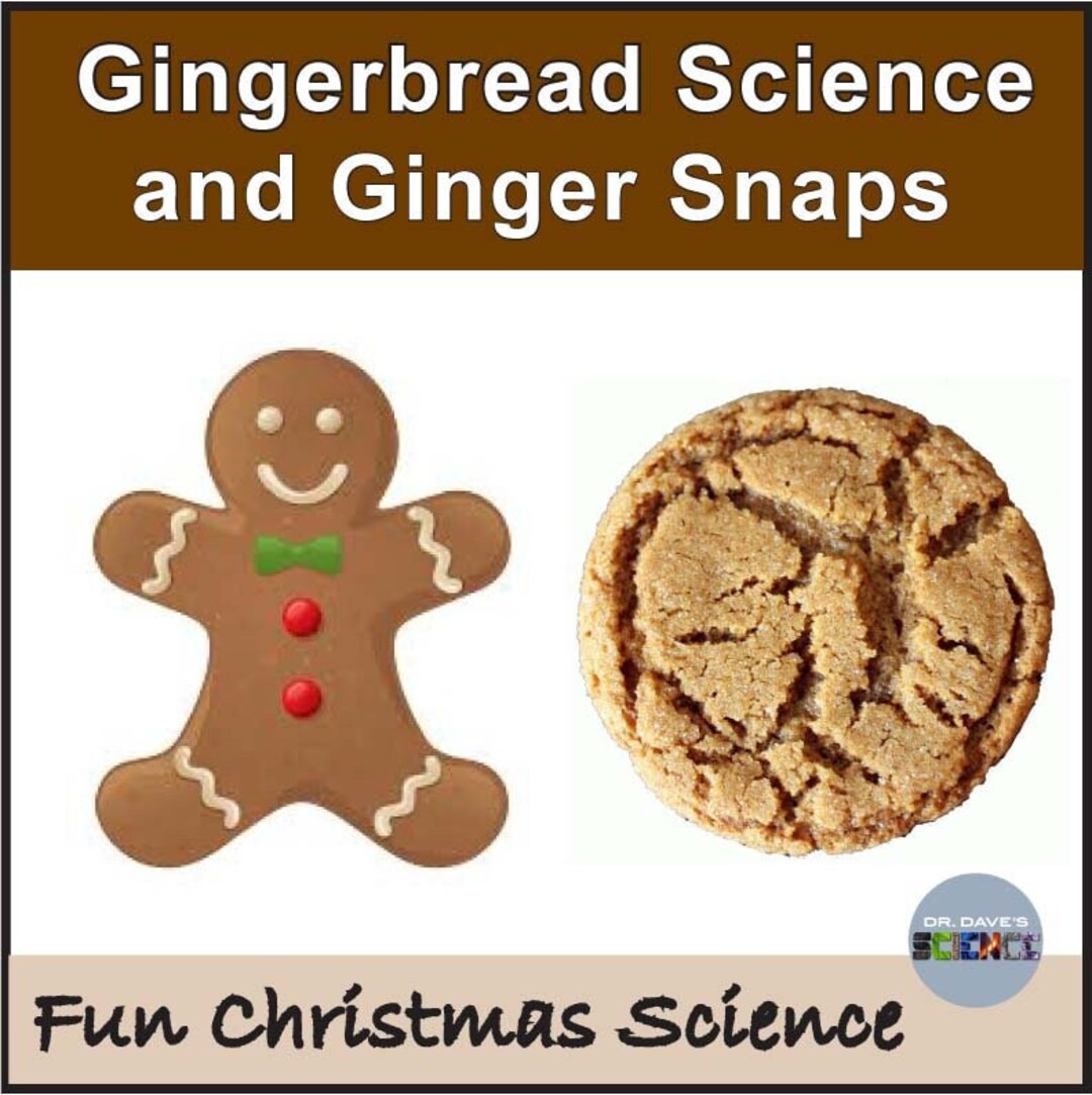 Gingerbread and Gingersnap Christmas Science Activities Science ...