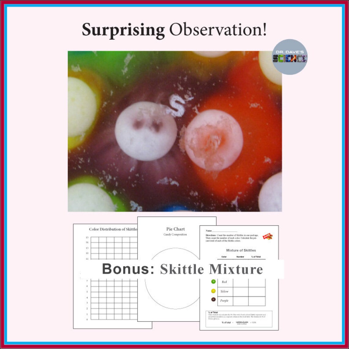 Skittle Science Activity Etsy