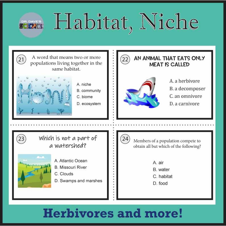 Tarjetas de tareas sobre ecosistemas Medio ambiente y seres vivos ...