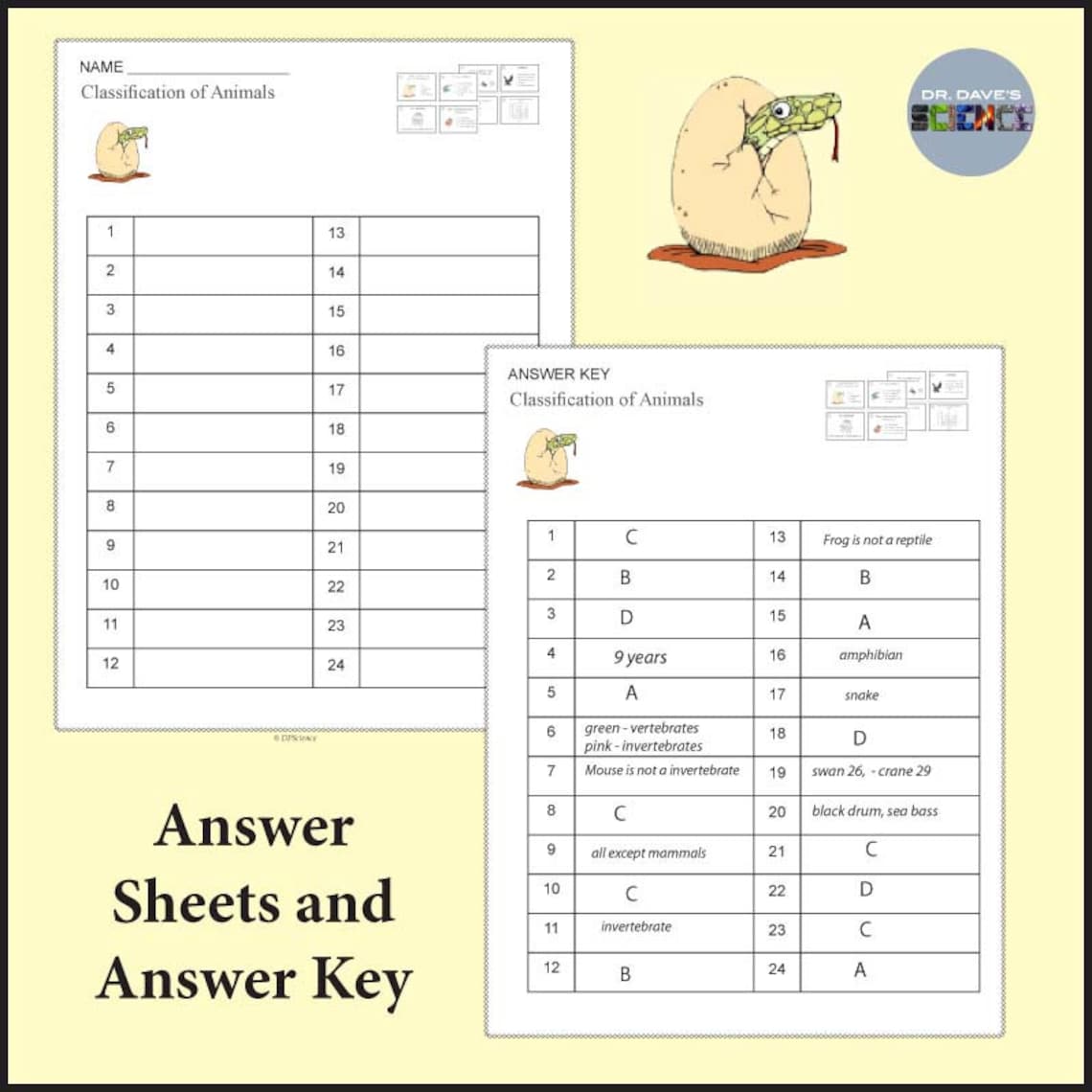 Animal Classification Invertebrates and Vertebrates Task Cards - Etsy