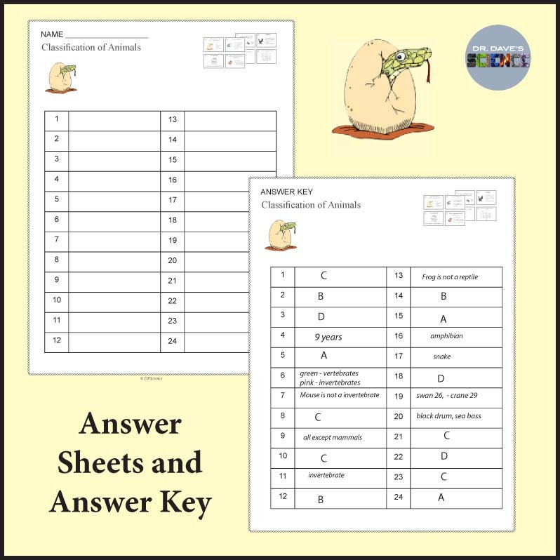 Animal Classification Invertebrates and Vertebrates Task Cards - Etsy