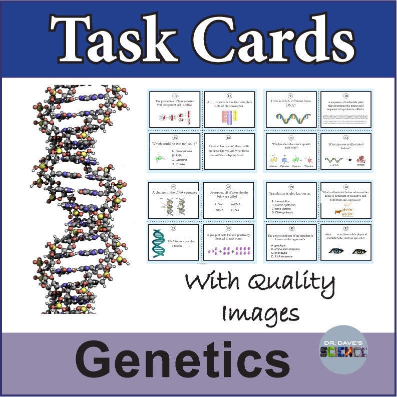 Genetics and Heredity Task Cards DNA Structure and DNA Replication - Etsy
