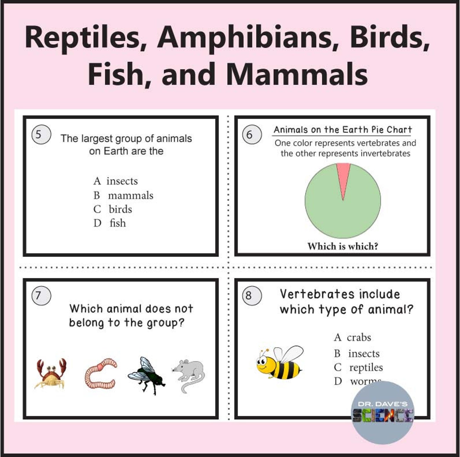 Animal Classification Invertebrates and Vertebrates Task Cards - Etsy