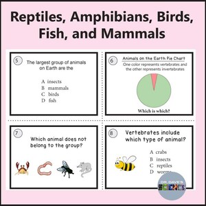 Animal Classification Invertebrates and Vertebrates Task Cards - Etsy