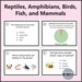 Animal Classification Invertebrates and Vertebrates Task Cards - Etsy
