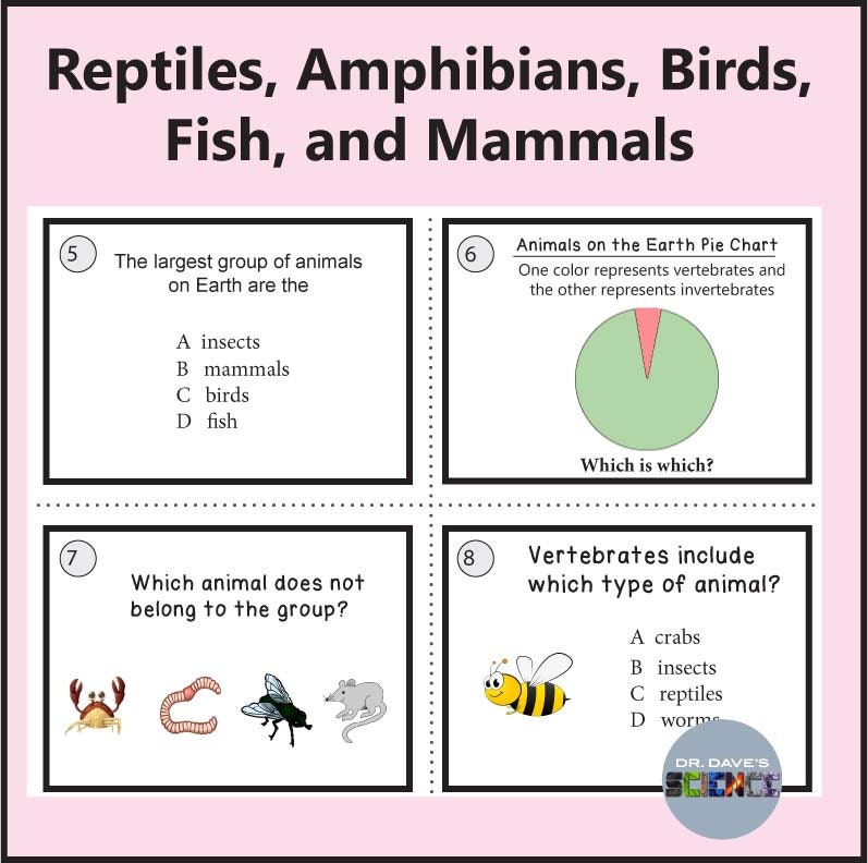 Animal Classification Invertebrates and Vertebrates Task Cards - Etsy