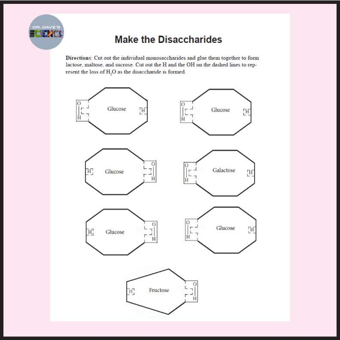 Carbohydrates Structure Worksheets Activity Graphic Organizer ...