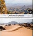 Deserts Posters Land Biomes Word Wall - Etsy