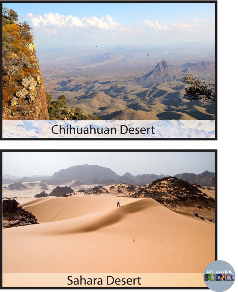 Deserts Posters Land Biomes Word Wall - Etsy