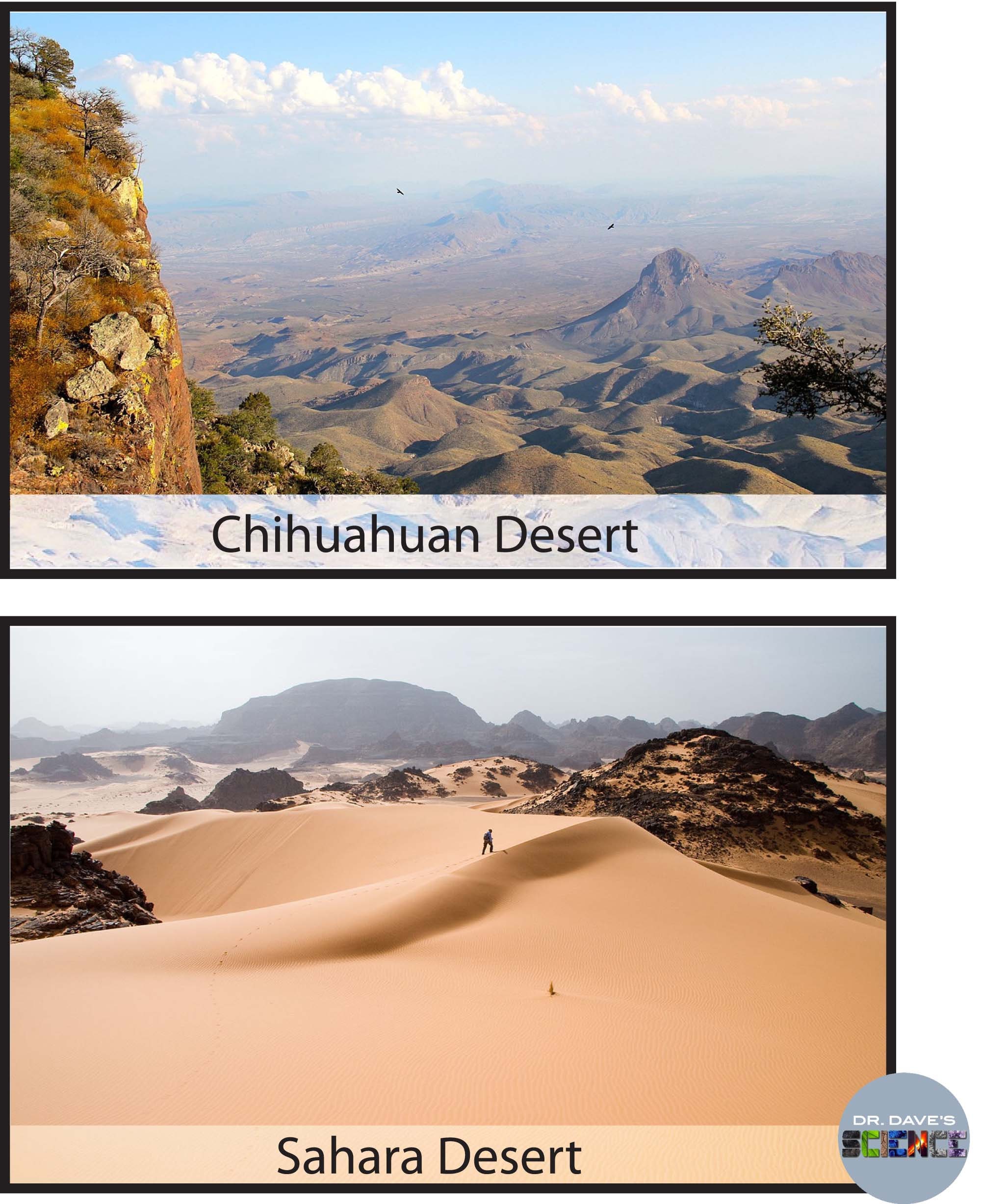 Deserts Posters Land Biomes Word Wall - Etsy