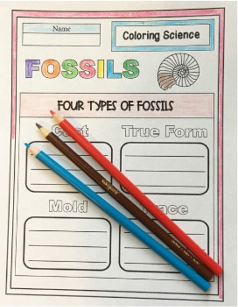 Fossils and Types of Fossils Activities - Etsy