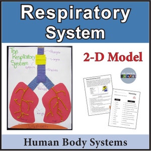 Respiratory System Activities, Worksheets, Task Cards - Etsy
