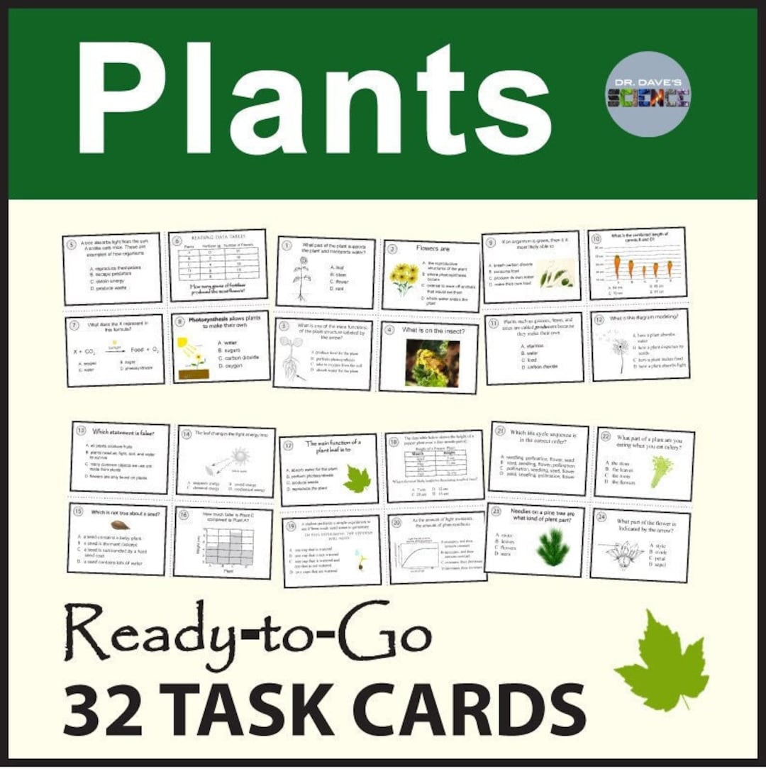 Plants and Parts of Plants Photosynthesis Task Cards - Etsy