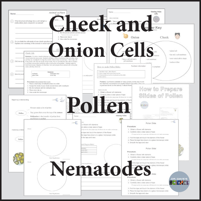 Microscope Slide Lab Activity Bundle Onion Cheek Cells Stomata Pollen ...
