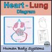 Respiratory System Activities, Worksheets, Task Cards - Etsy