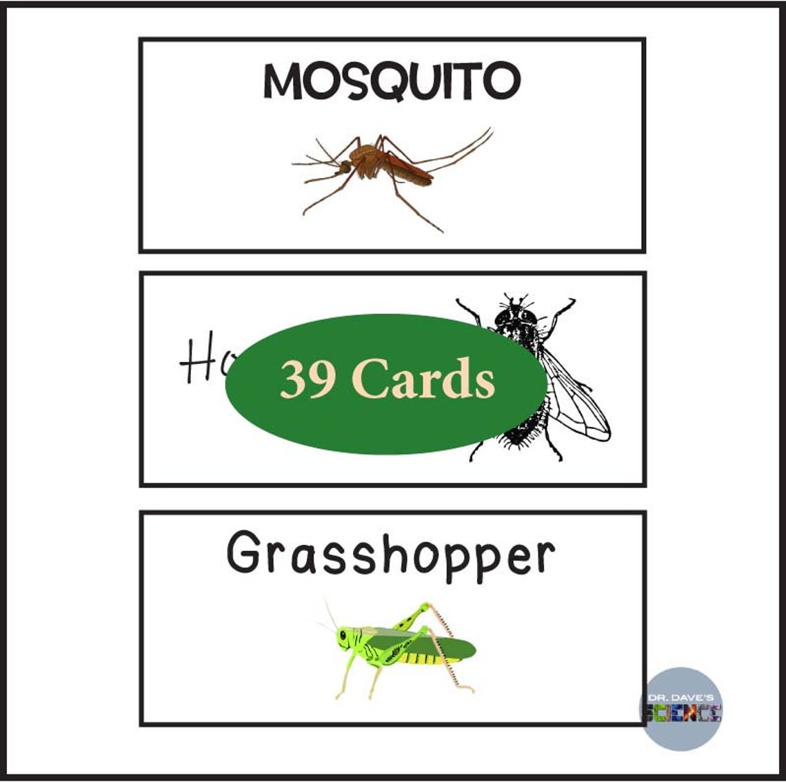 Insect Word Wall Insect Bulletin Board Science Classroom Décor - Etsy