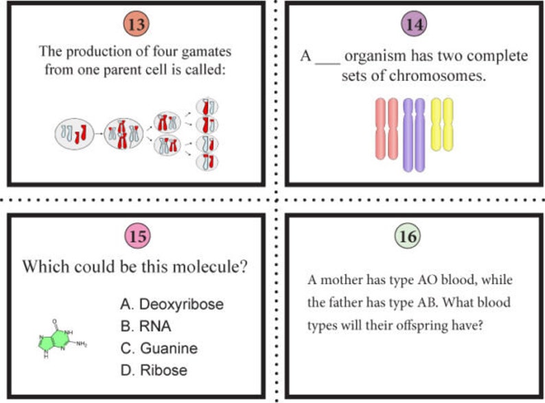 Genetics and Heredity Task Cards DNA Structure and DNA Replication - Etsy