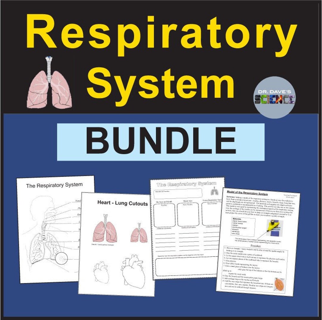 Respiratory System Activities, Worksheets, Task Cards - Etsy