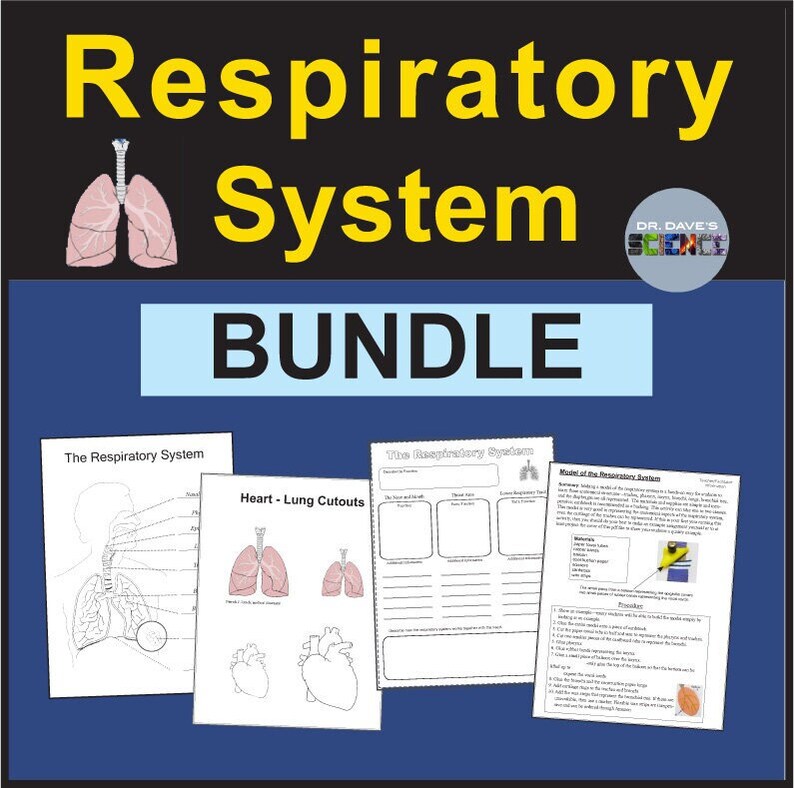Respiratory System Activities, Worksheets, Task Cards - Etsy