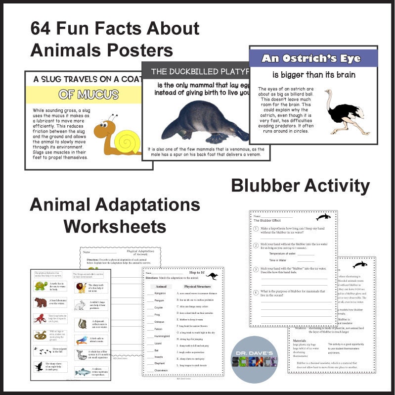 Animal Structures Adaptations Activities and Resources 4th Grade NGSS ...