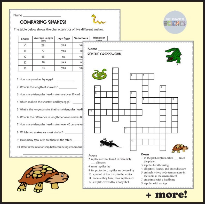 Reptiles Reading Comprehension, Graphs and Tables, Activities ...