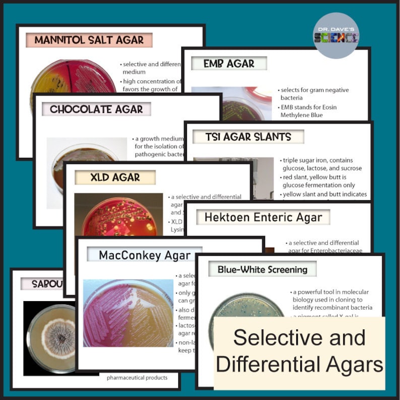 Microbiology Lab Study MLT/MLS ASCP Printable Review Cards Selective ...