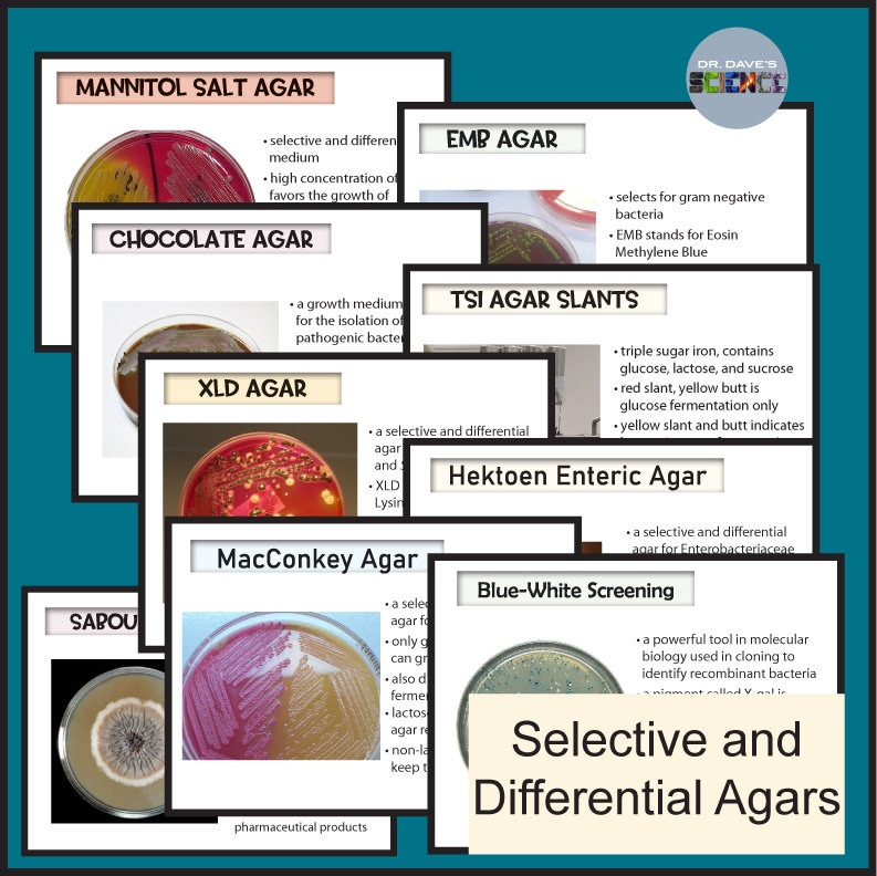 Microbiology Lab Study MLT/MLS ASCP Printable Review Cards Selective ...