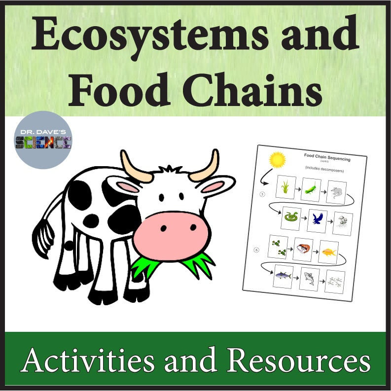Ecology and Food Chain Activity Packet - Etsy
