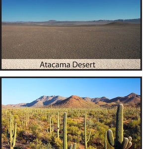 Deserts Posters Land Biomes Word Wall - Etsy