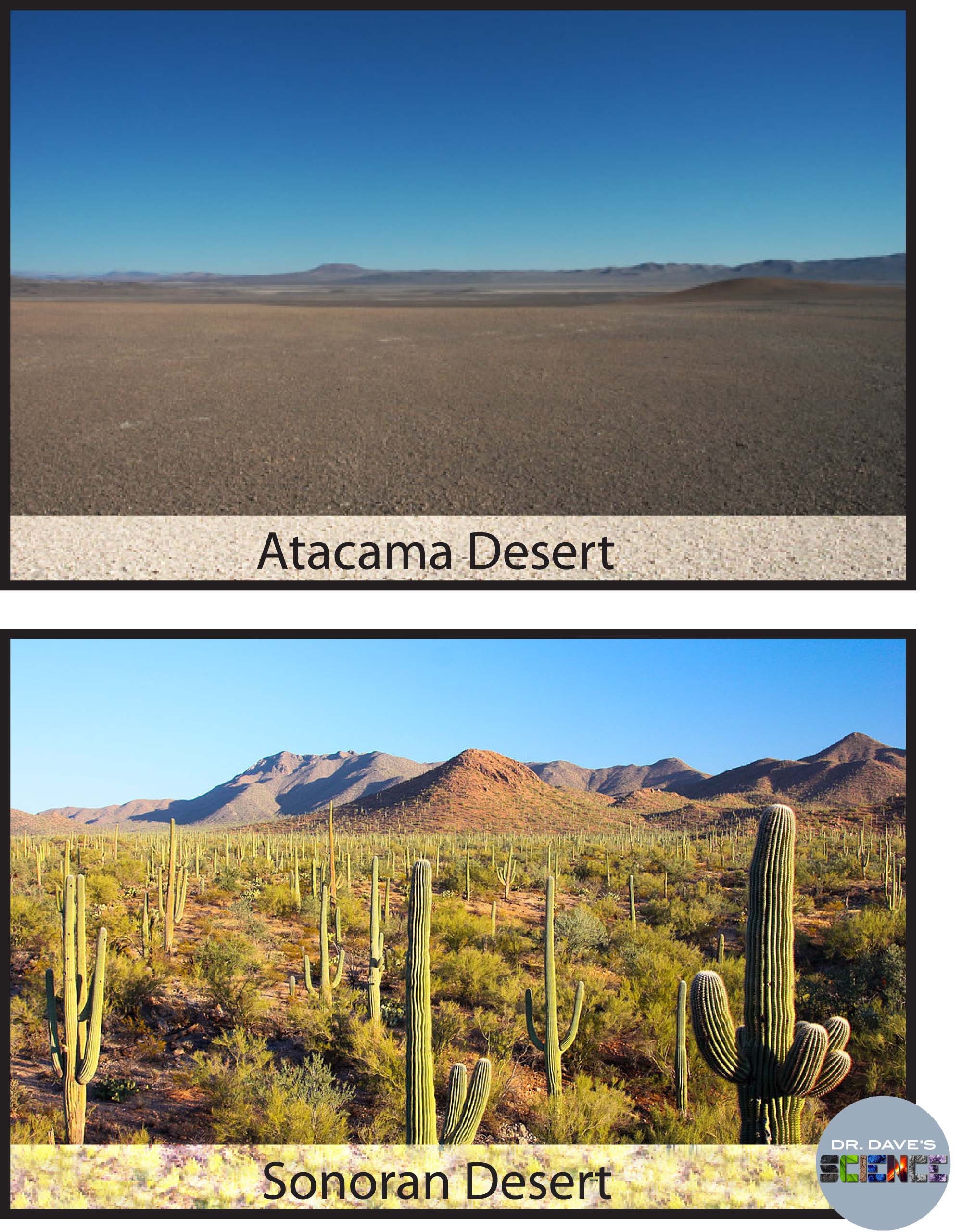 Deserts Posters Land Biomes Word Wall - Etsy