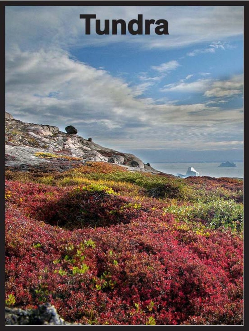 Biome and Ecology Posters Digital Science Prints Environment - Etsy