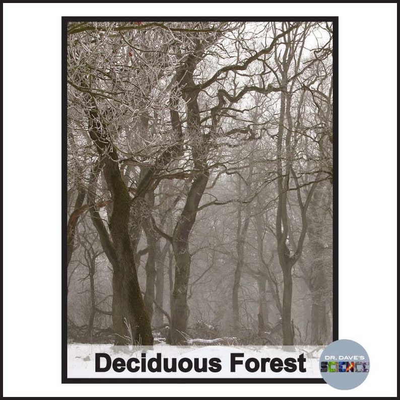 Biome and Ecology Posters Digital Science Prints Environment Tundra - Etsy