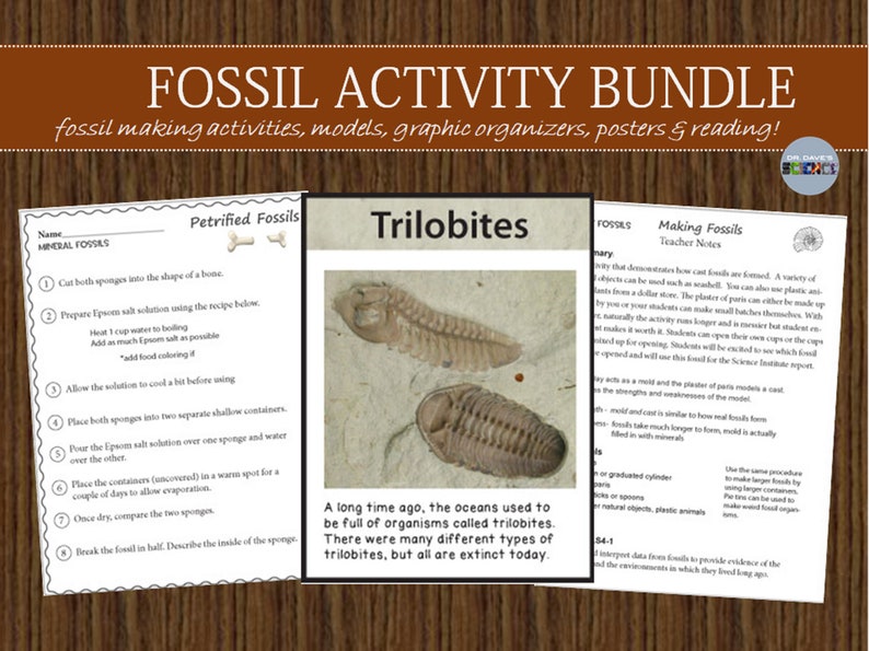 Fossils and Types of Fossils Activities - Etsy