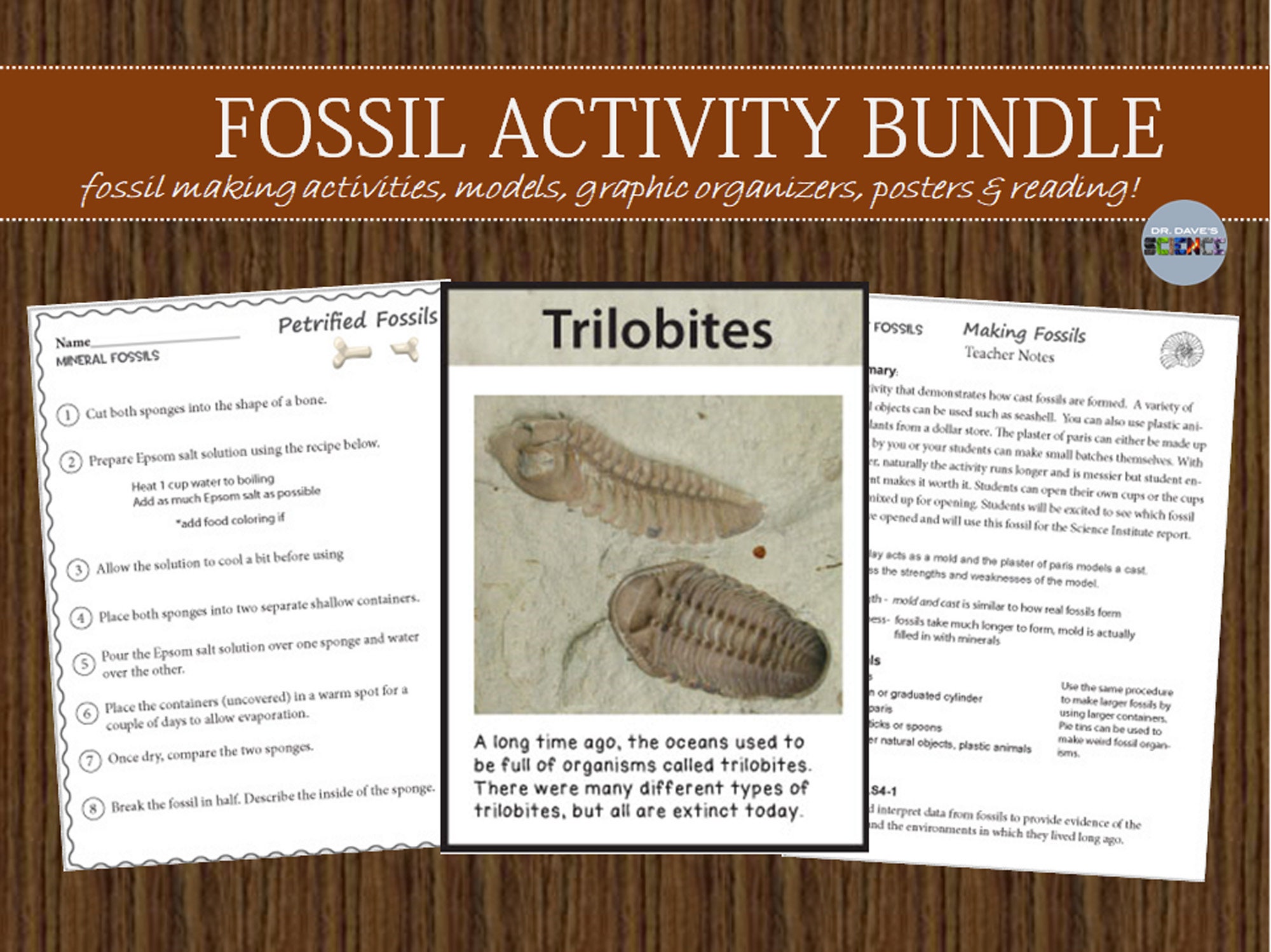 Fossils and Types of Fossils Activities - Etsy