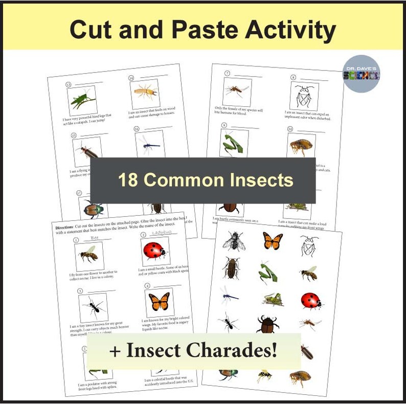 Insects Cut and Paste Worksheets, Bugs and Insects Research Template - Etsy
