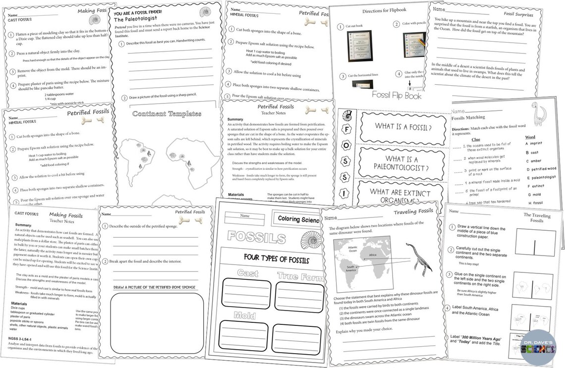 Fossils and Types of Fossils Activities - Etsy