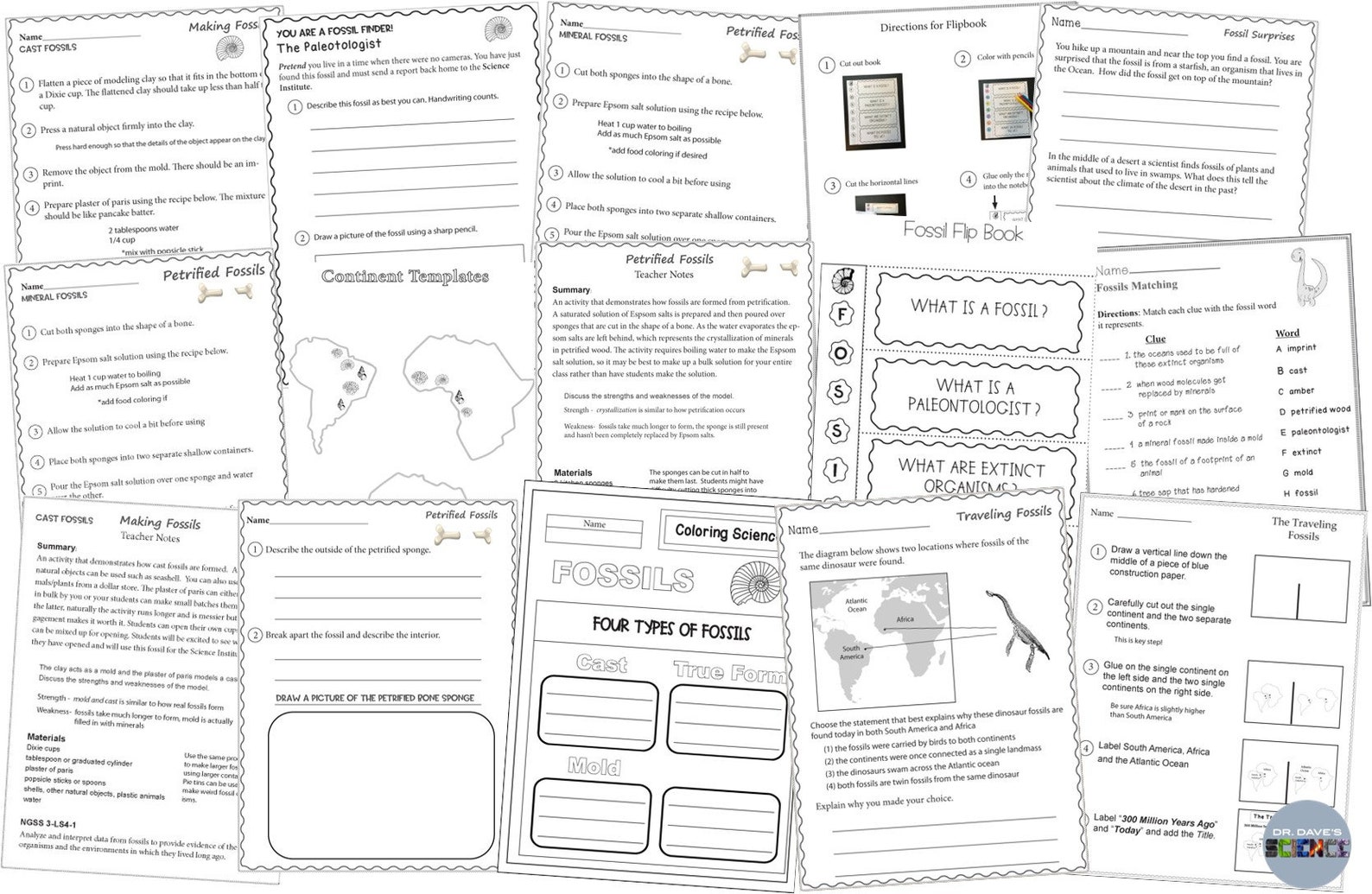 Fossils and Types of Fossils Activities - Etsy