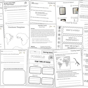 Fossils and Types of Fossils Activities - Etsy