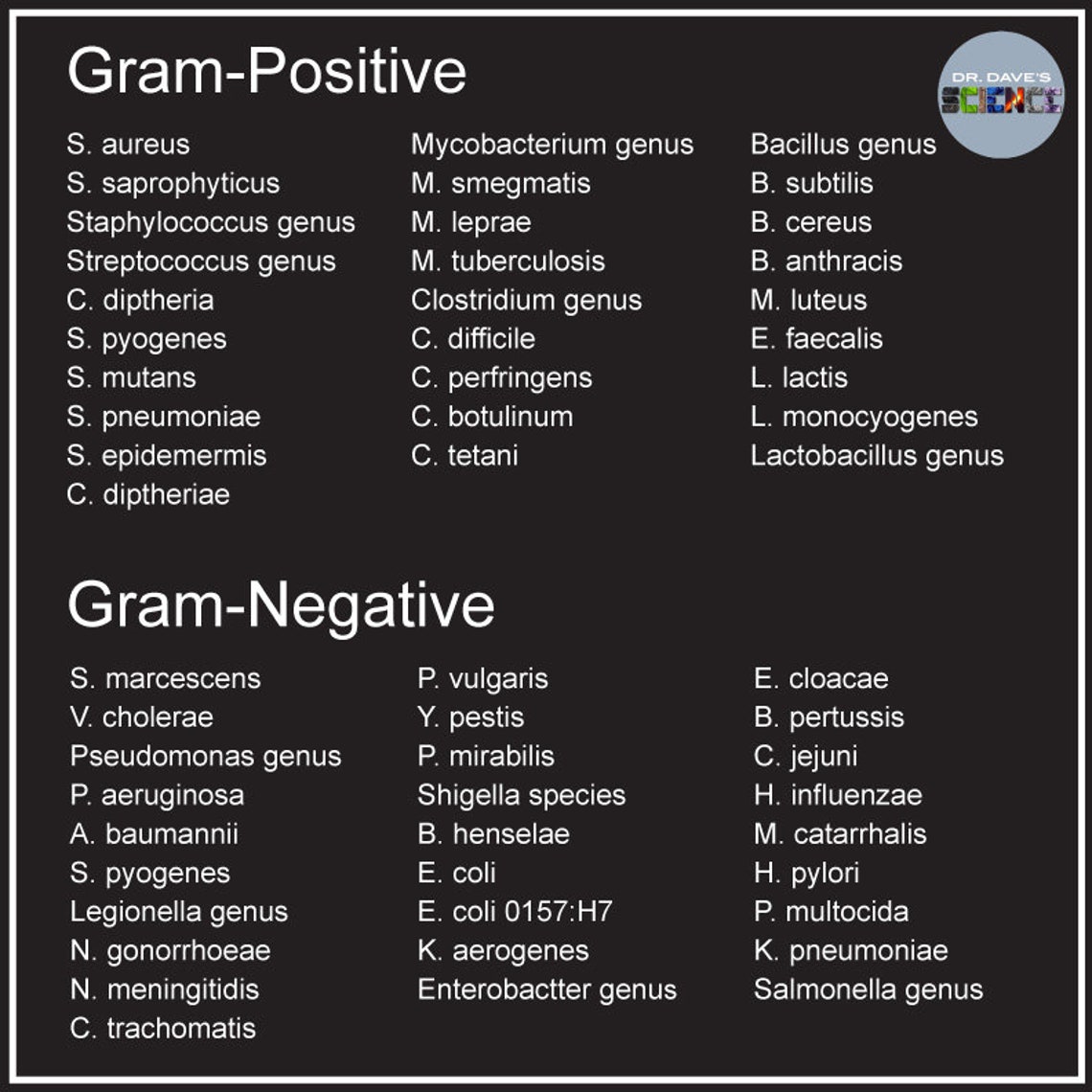 Microbiology Lab Study Guide Printable Cards MLT MLS ASPC Exam Prep ...