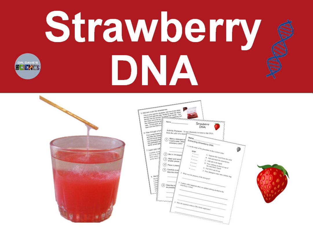 Extracción De Adn De Fresas