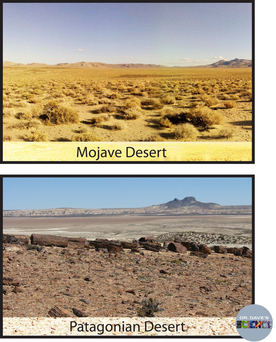 Deserts Posters Land Biomes Word Wall - Etsy