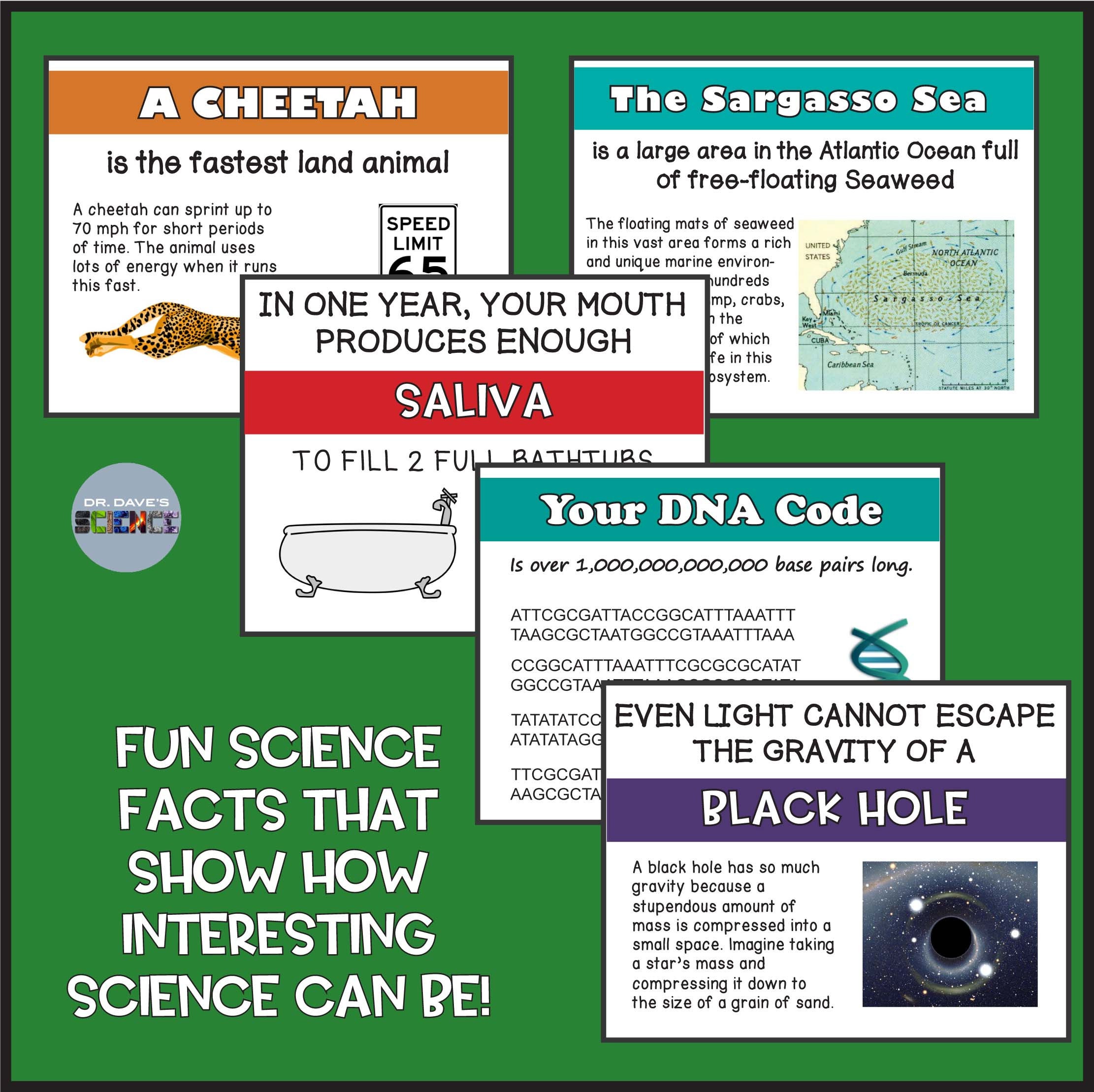 Fun Science Facts Posters Bulletin Board - Etsy