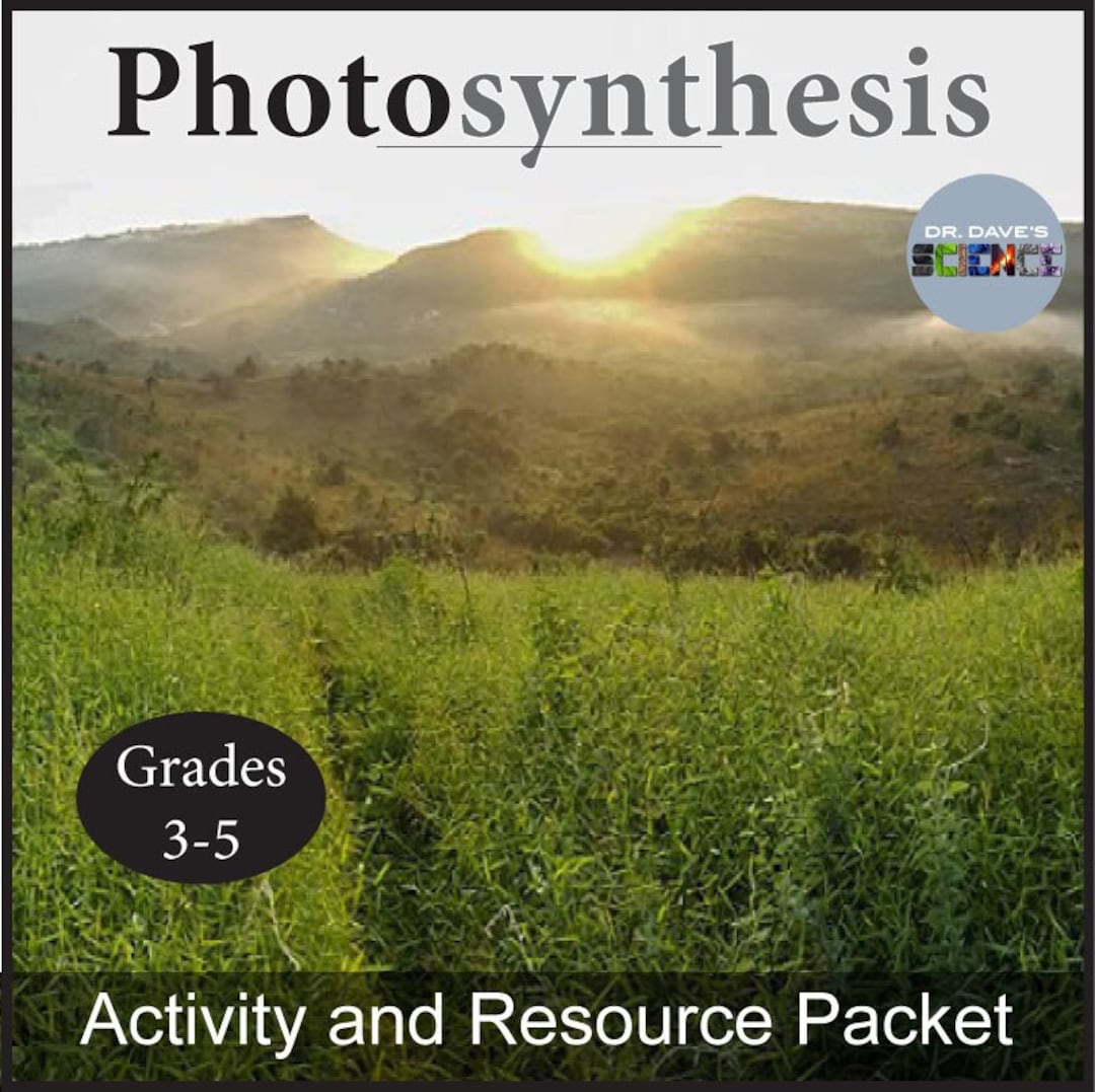 Photosynthesis Activities and Resource Packet - Etsy
