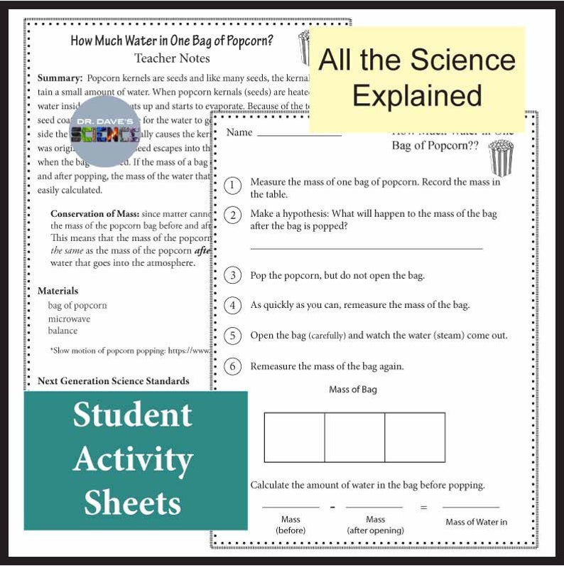 Popcorn Science Activity Experiment Popcorn Reading Comprehension - Etsy
