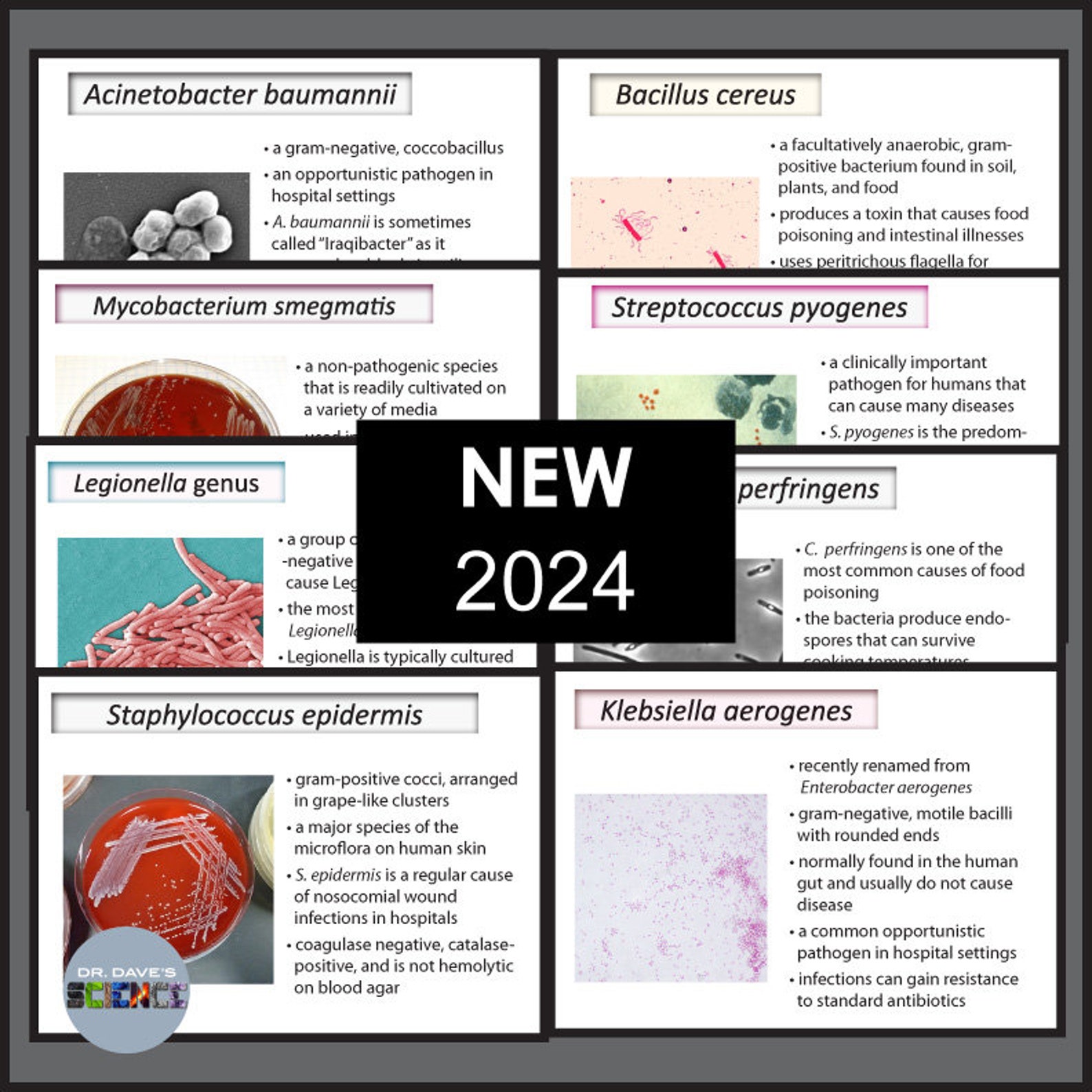 Microbiology Lab Study Guide Printable Cards MLT MLS ASPC Exam Prep ...