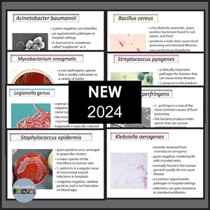 Microbiology Lab Study Guide Printable Cards MLT MLS ASPC Exam Prep ...