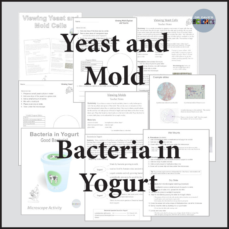 Microscope Slide Lab Activity Bundle Onion Cheek Cells Stomata Pollen ...