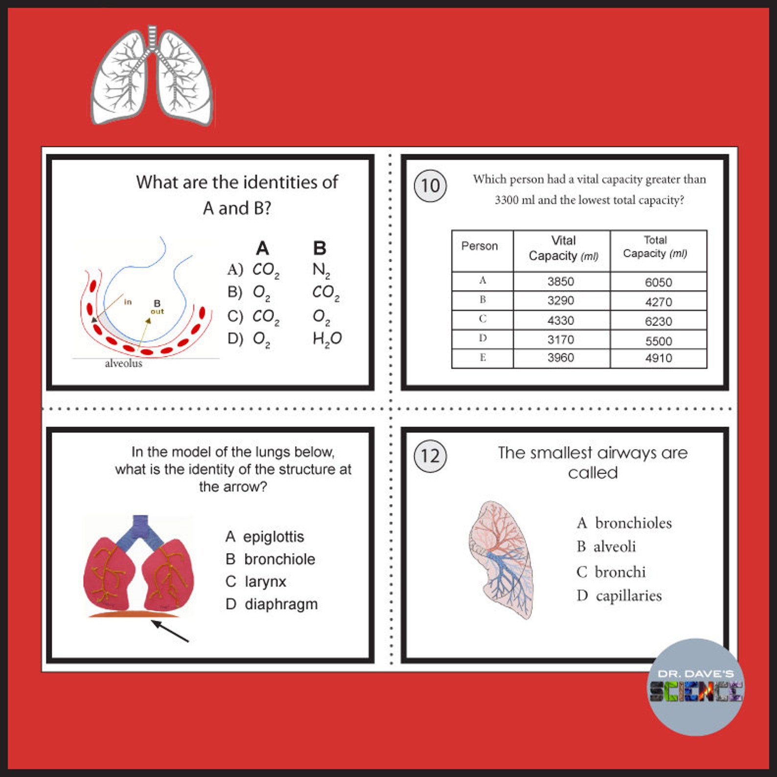 Respiratory System Task Cards, Human Body Systems, Lungs Anatomy - Etsy