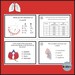 Respiratory System Task Cards, Human Body Systems, Lungs Anatomy - Etsy