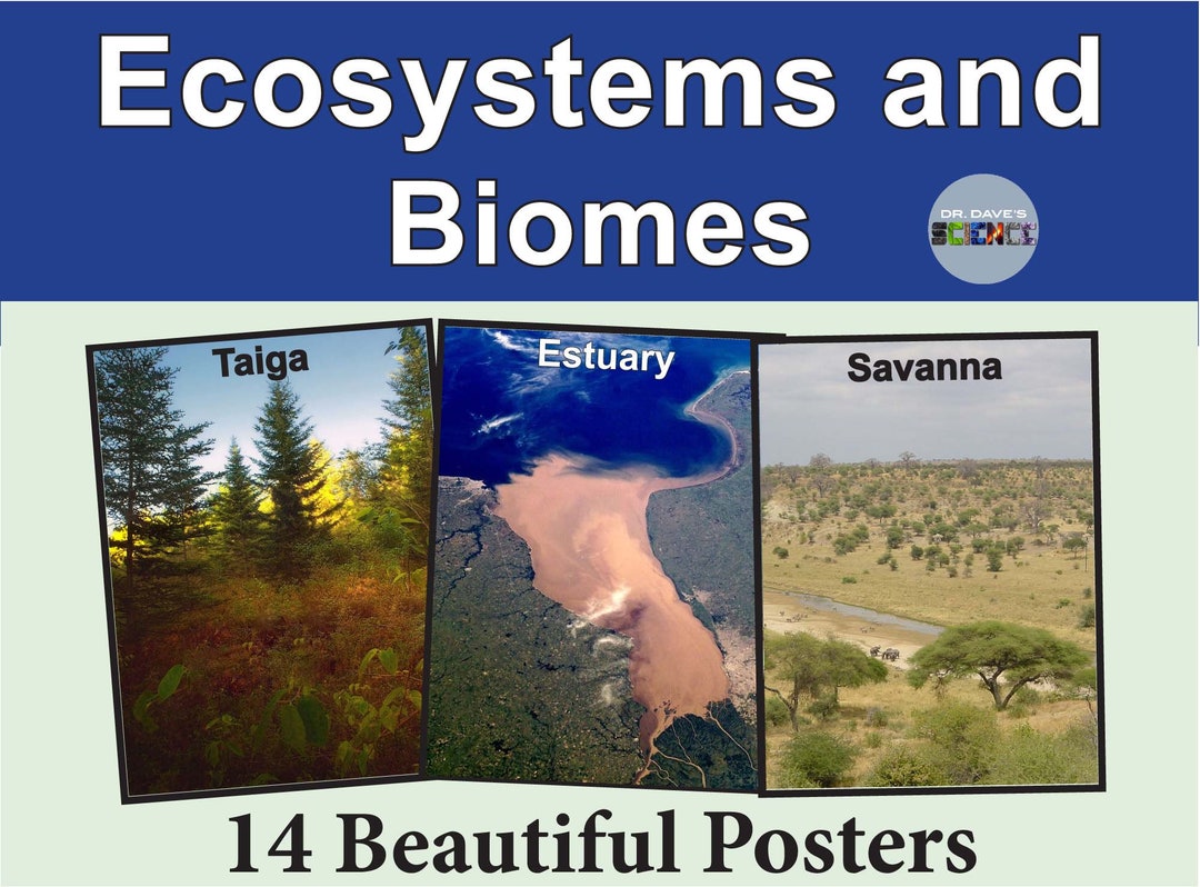 Biome and Ecology Posters Digital Science Prints Environment Tundra - Etsy